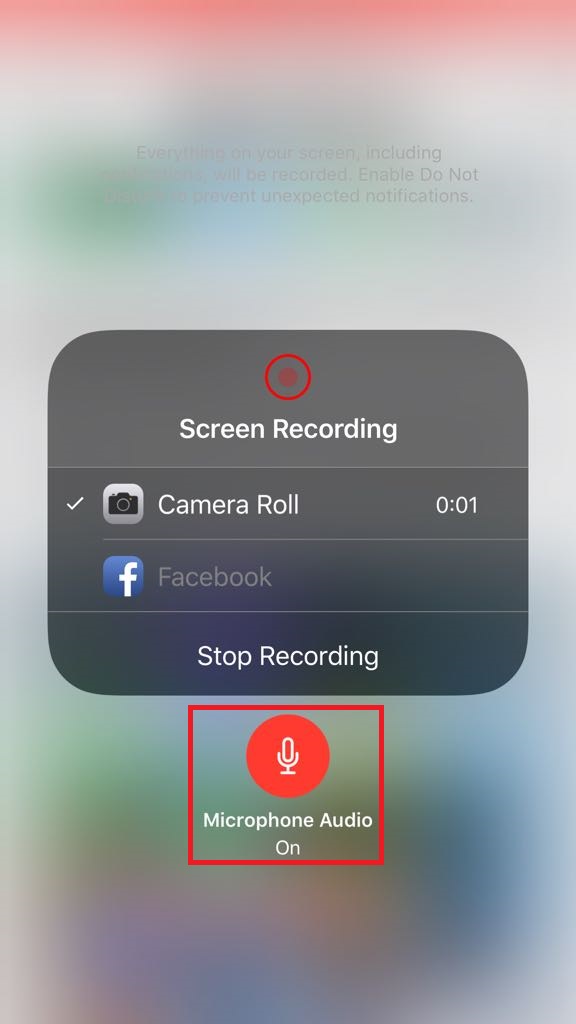 How to screen record on ipad with sound - packzoqa