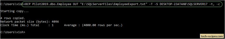 How To Use BCP Utility In SQL Server