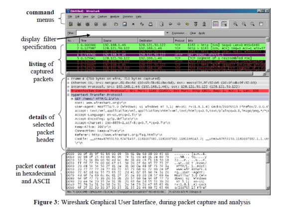 How to Read Data Packet Constituents in Wireshark