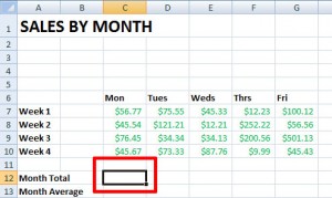 Using Autosum with Microsoft Excel